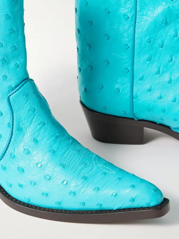 Khaite Clive Embroidered Ostrich Ankle Boots - Blue