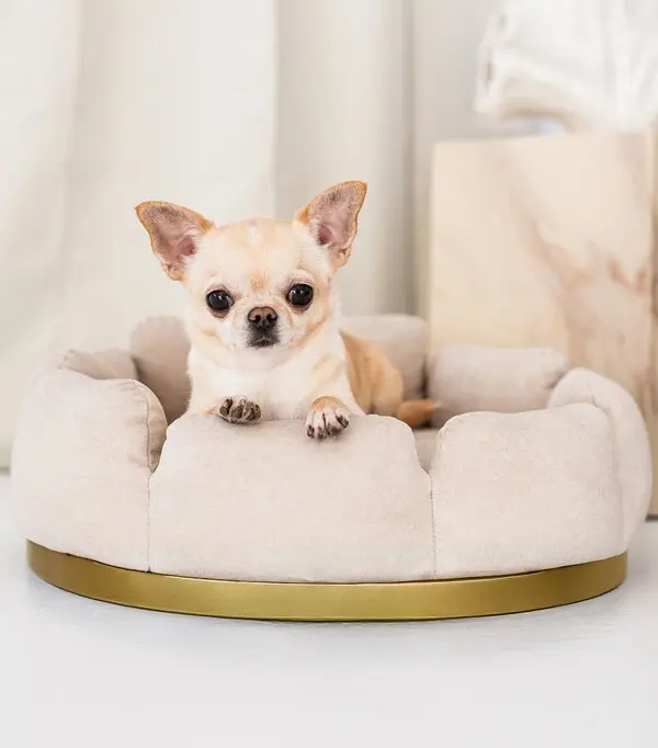 LOOTY Small Camelia Dog Sofa