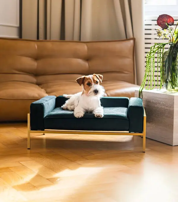 LOOTY Medium Kensington Dog Sofa
