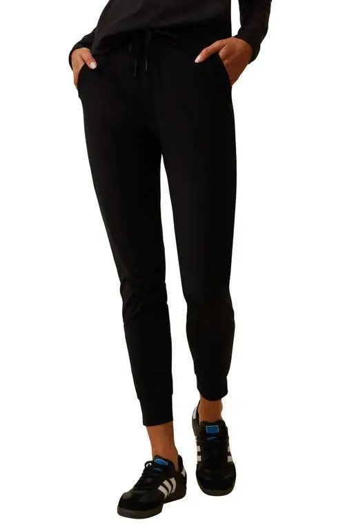 Greyson Jogger - Shepherd
