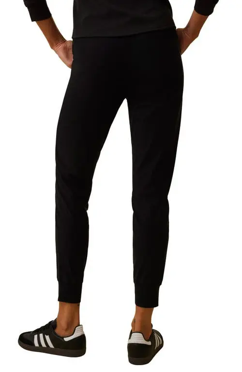 Greyson Jogger - Shepherd
