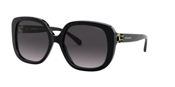 COACH Sunglasses - Dark Grey Gradient