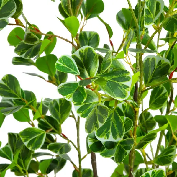 NEARLY NATURAL 5' Artificial Heart Shaped Ficus Leaf Tree