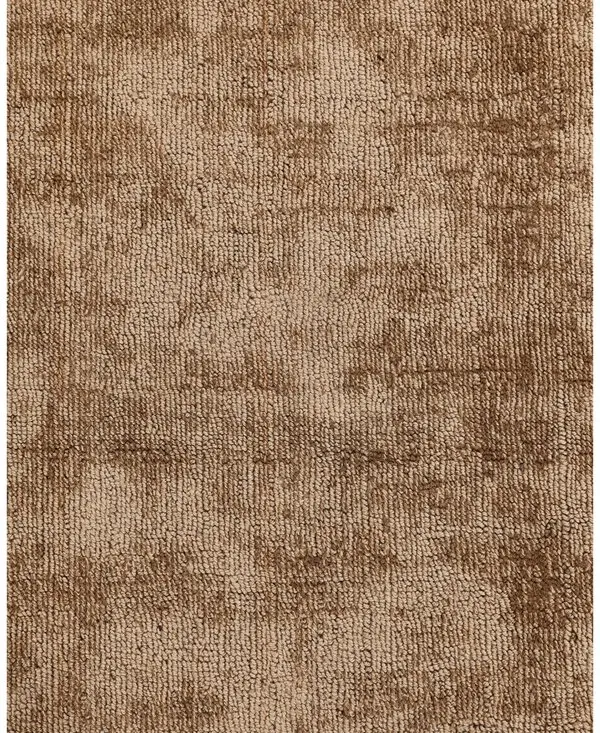 TIMELESS RUG DESIGNS Irvine S3423 5'0x8'0 Area Rug