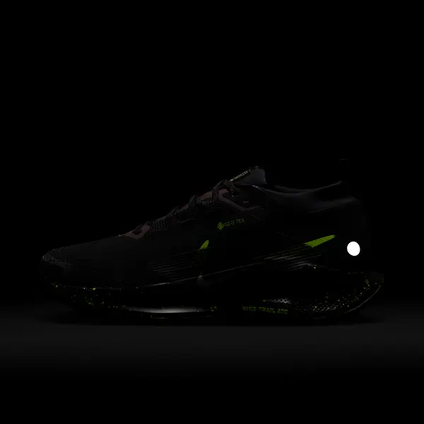 Nike Pegasus Trail Gore-tex Waterproof Trail Running Shoes