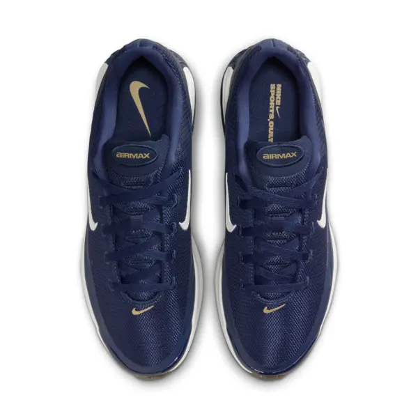 Nike Air Max Shoes