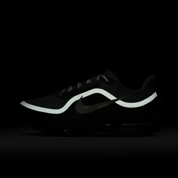 Nike Pegasus Premium Road Running Shoes