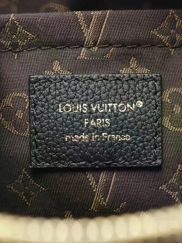 LOUIS VUITTON 2021 Express Monogram Pm Shoulder Bag