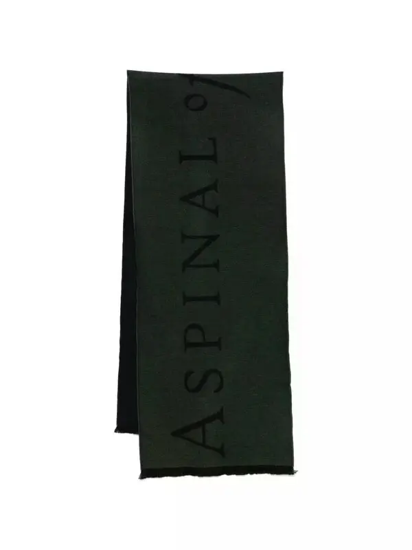 ASPINAL OF LONDON Bi-colour Merino Scarf - Green