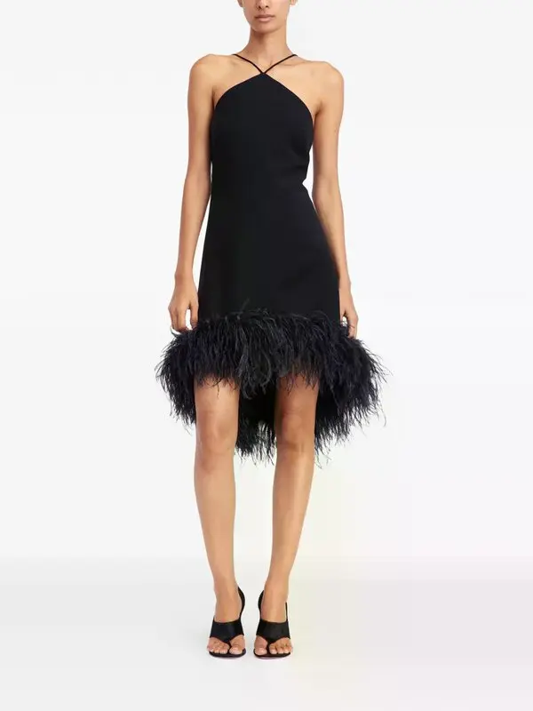 16Arlington Feather-trim Mini Dress