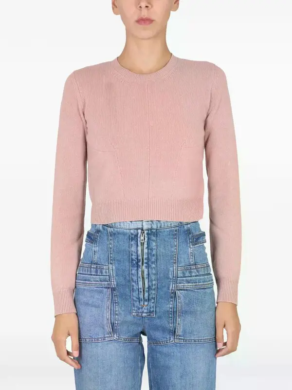Stella McCartney Crew-neck Sweater - Pink