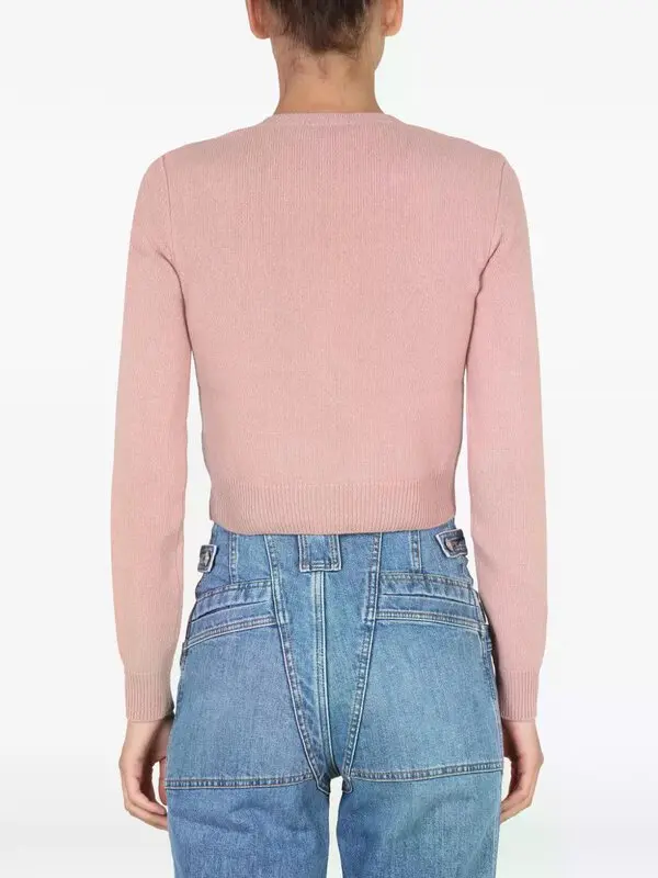 Stella McCartney Crew-neck Sweater - Pink