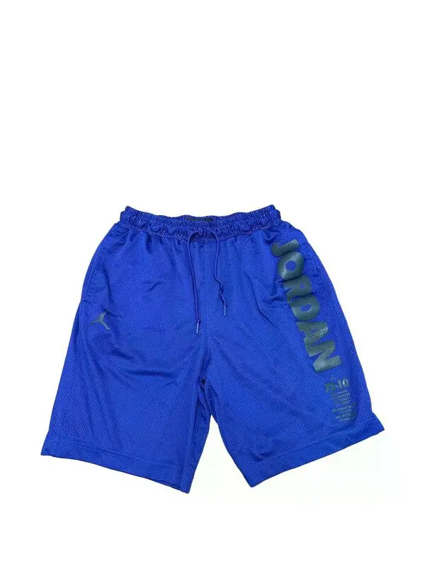 JORDAN Legacy 11 Mesh Shorts