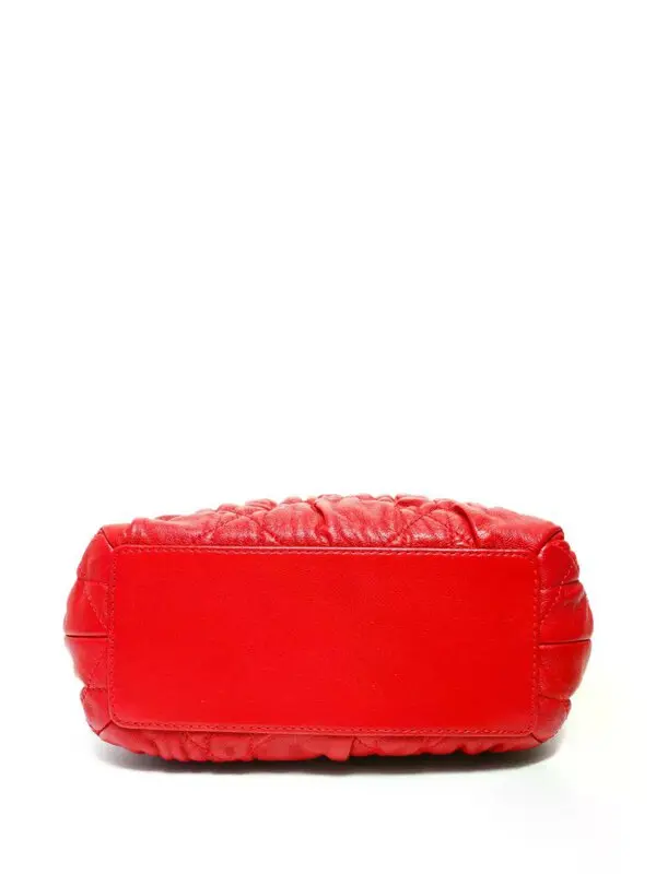 Dior Mini Canage Shoulder Bag