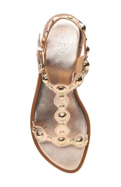 Ash Studded Ankle Strap Sandal - Mekong Gold