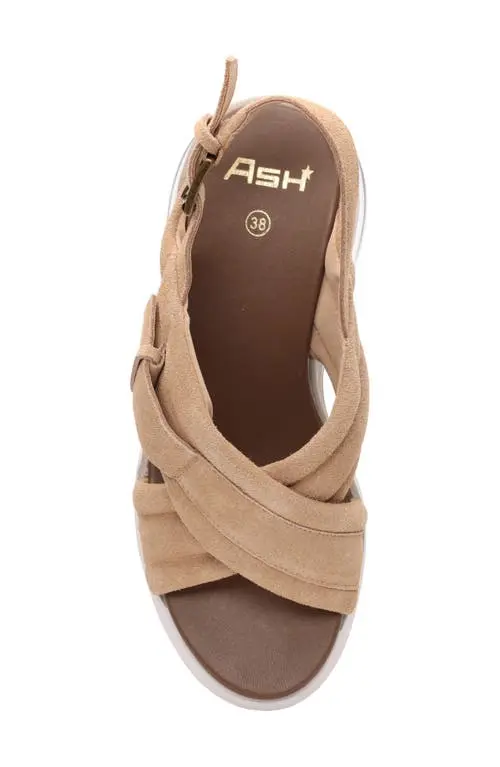 Ash Delia Slingback Wedge Sandal - Desert