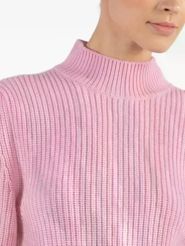 SA SU PHI Ribbed High-neck Sweater