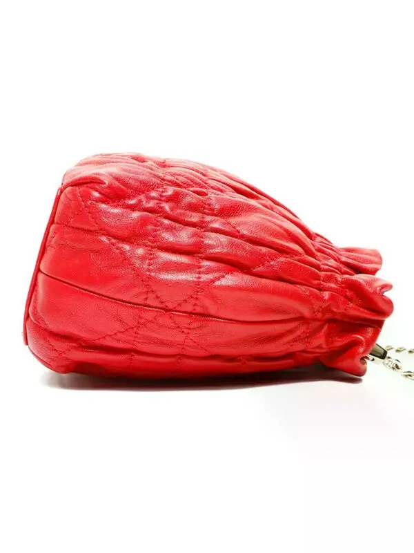 Dior Mini Canage Shoulder Bag