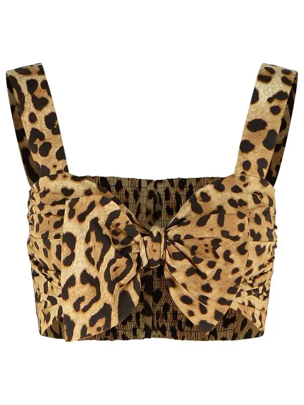 Dolce & Gabbana Leopard Print Bustier - Brown