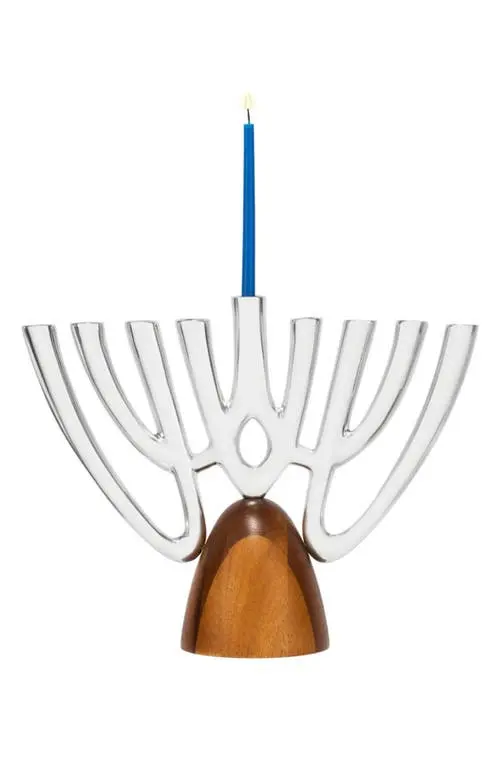 NAMBE Unity Menorah