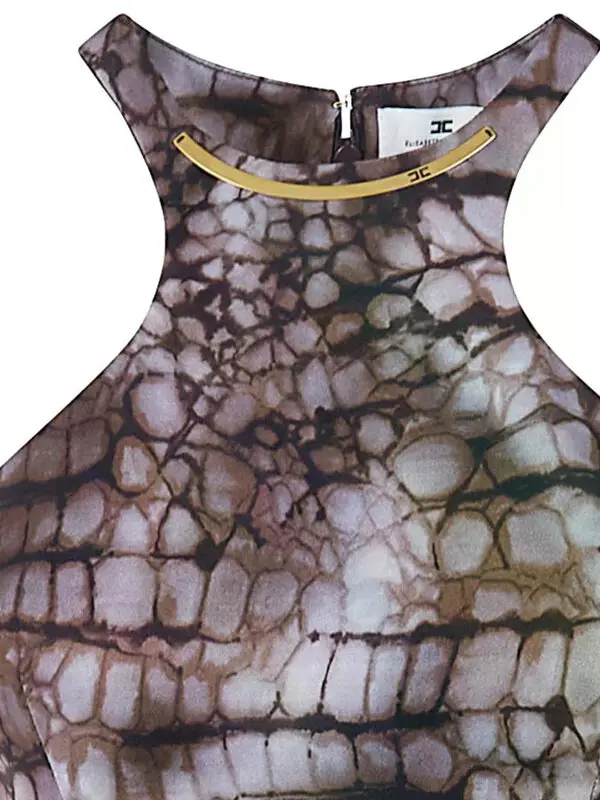 Elisabetta Franchi Animal-print Midi Dress - Brown