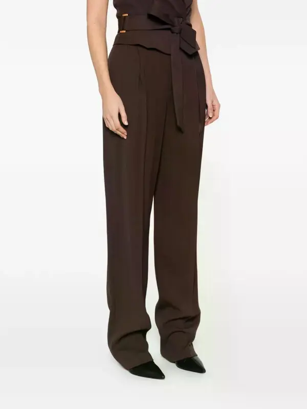 Elisabetta Franchi Pleated Trousers - Brown