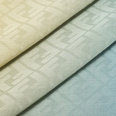 Fendi Ff Shawl