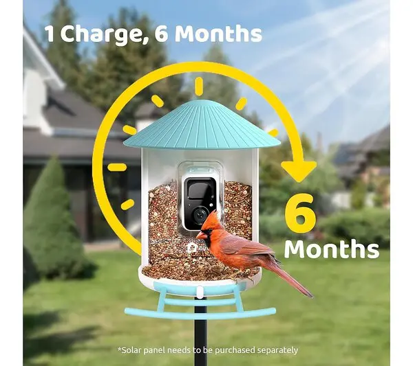 BIRDFY Smart Bird Feeder With Camera Lite Blu E