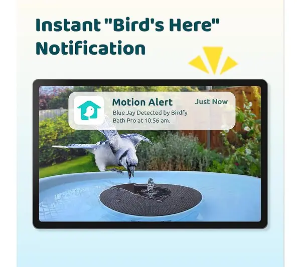 BIRDFY Bird Bath Pro Ai With Camera Solar Power Ed