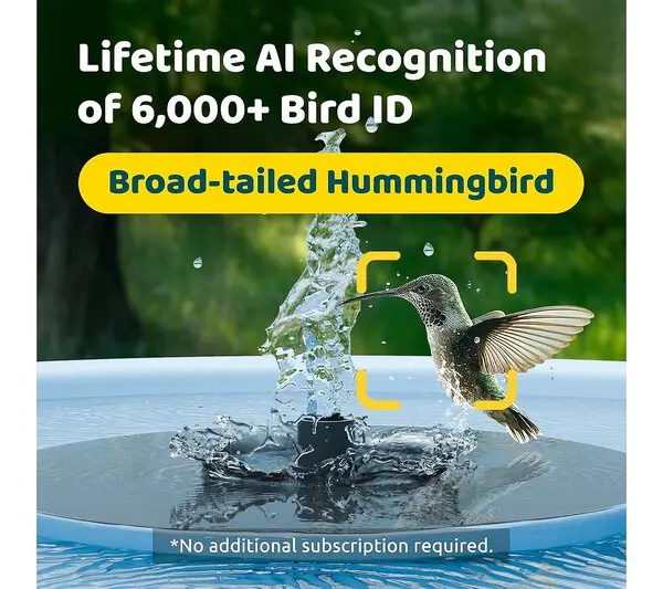 BIRDFY Bird Bath Pro Ai With Camera Solar Power Ed