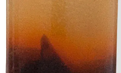 Ralph Lauren Tortoise Pattern Huggie Hoop Earrings