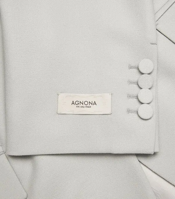 Agnona Virgin Wool Single-breasted Blazer