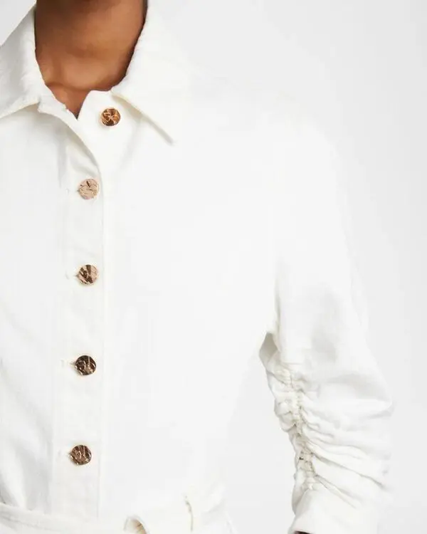 Gabriela Hearst Delyth Belted Midi Shirtdress
