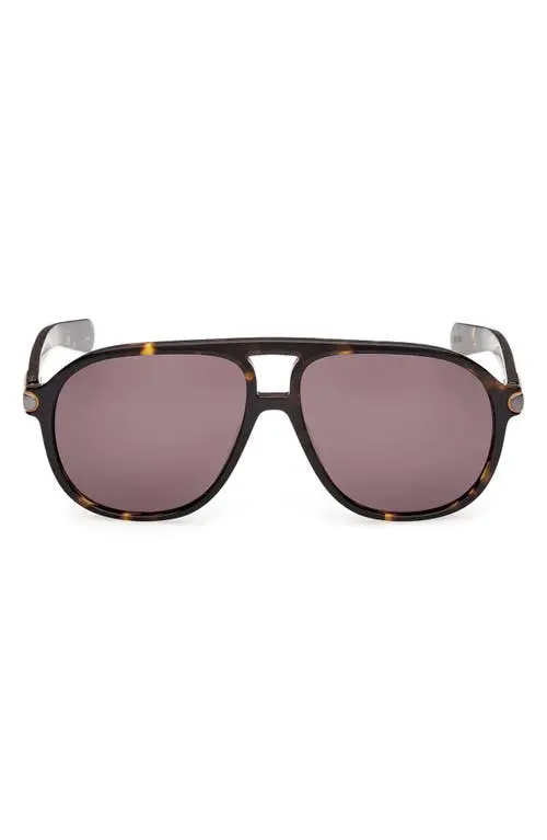 Adidas 58mm Pilot Sunglasses - Dark Havana/brown