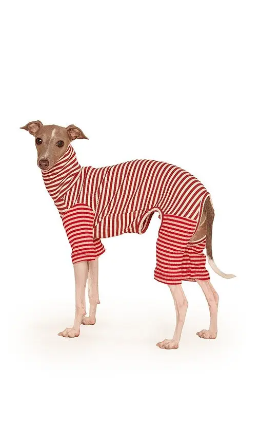 LITTLE BEAST Striped Onesie