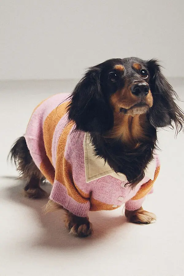 Anthropologie Striped Rugby Pet Sweater - Pink Stripe