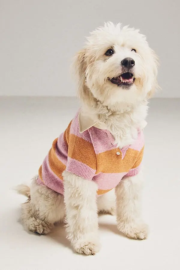 Anthropologie Striped Rugby Pet Sweater - Pink Stripe