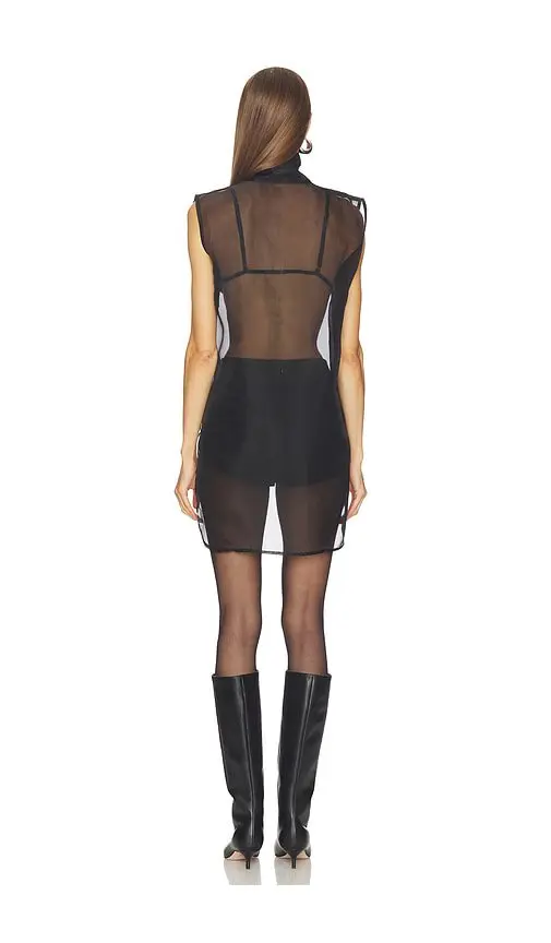 AEXAE Silk Organza Roll Neck Top