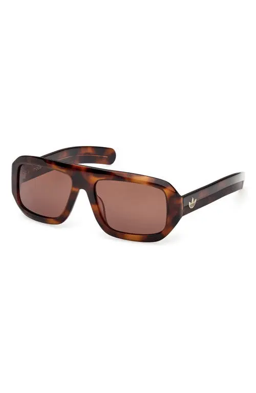 Adidas 58mm Navigator Sunglasses - Dark Havana/brown
