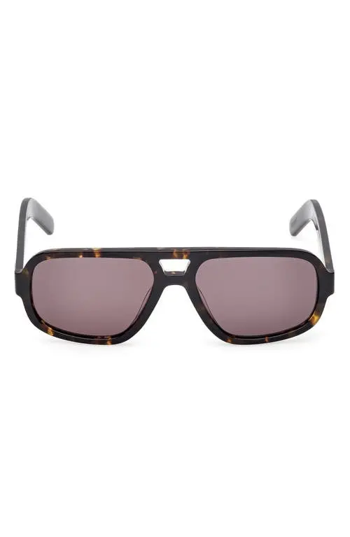 Adidas 55mm Navigator Sunglasses - Dark Havana/brown