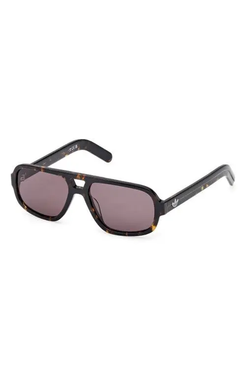 Adidas 55mm Navigator Sunglasses - Dark Havana/brown