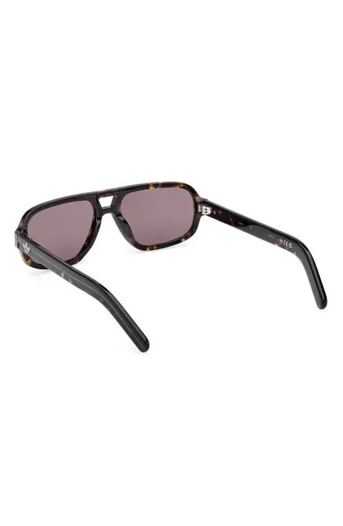 Adidas 55mm Navigator Sunglasses - Dark Havana/brown