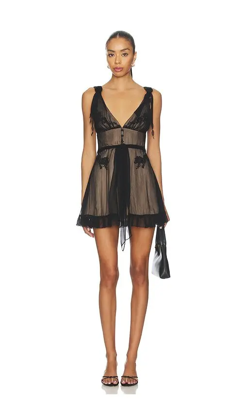 MIRROR PALAIS Silk Mini Dress With Lace And Appliqué Detail