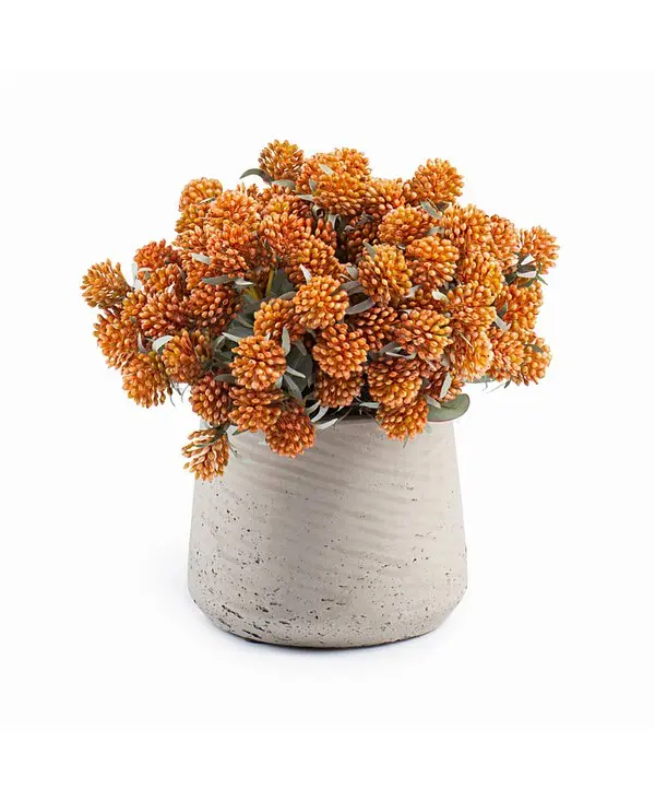 DOMANI HOME Berries In Patt Pot - Orange