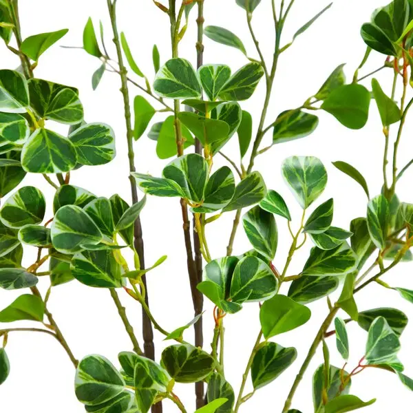 NEARLY NATURAL 4' Artificial Heart Shaped Ficus Leaf Tree