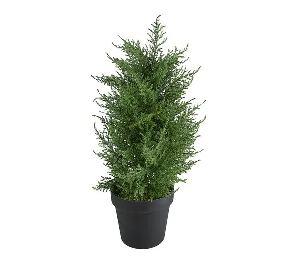 NORTHLIGHT Real Touch Cedar Pine Petite Arborvi Tae Pot 2 - One-color