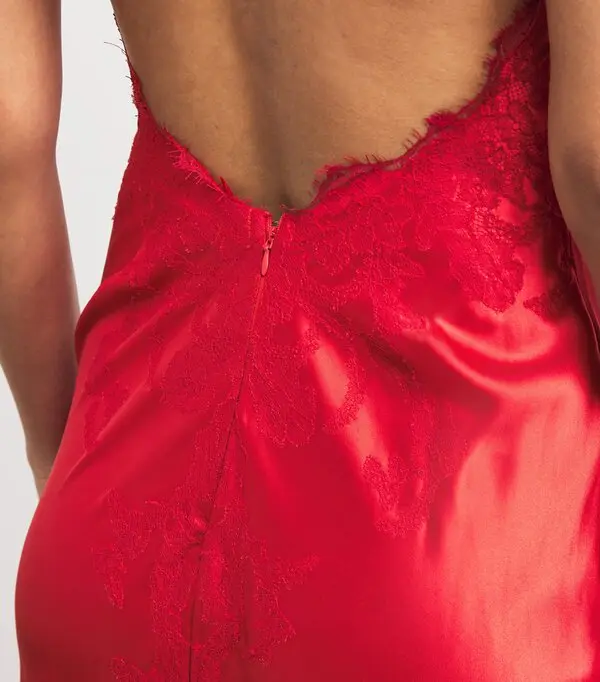 TORLOWEI Silk Lace-detail Slip Maxi Dress