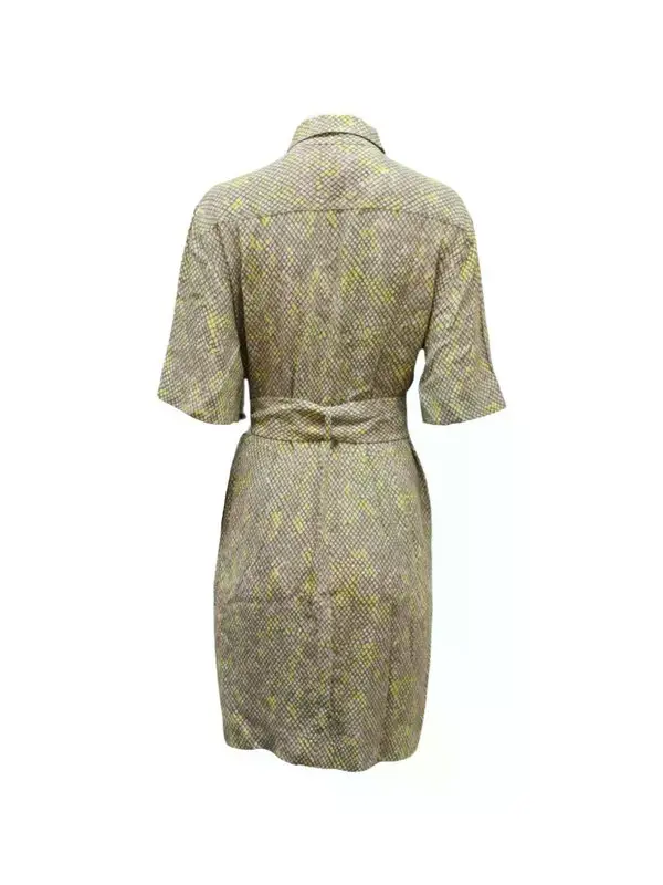Equipment Snake-print Shirt Dress