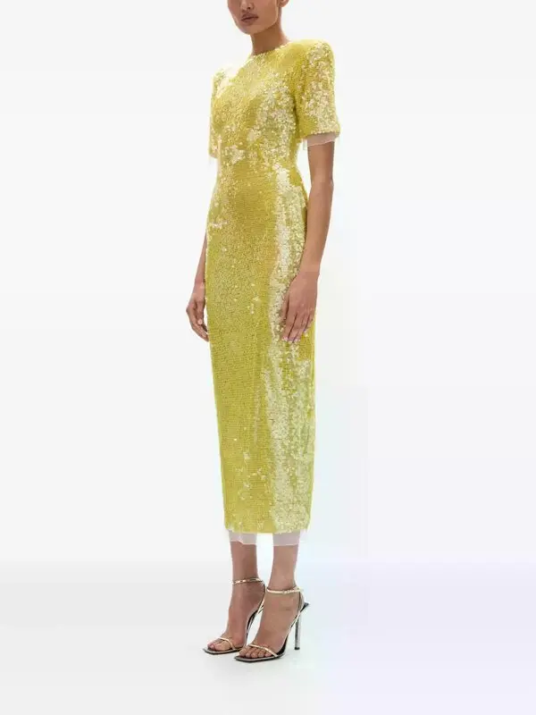 Rachel Gilbert Kaia Sequin Sleeve Midi Dress