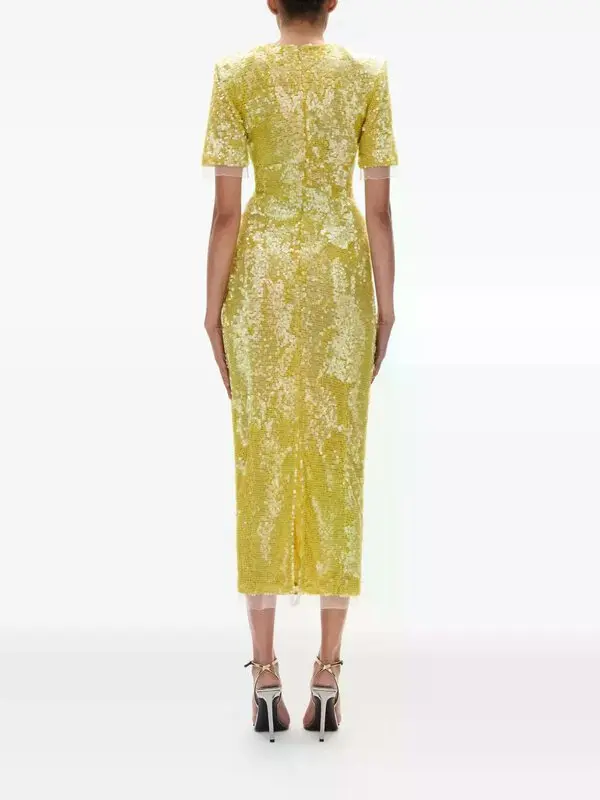 Rachel Gilbert Kaia Sequin Sleeve Midi Dress